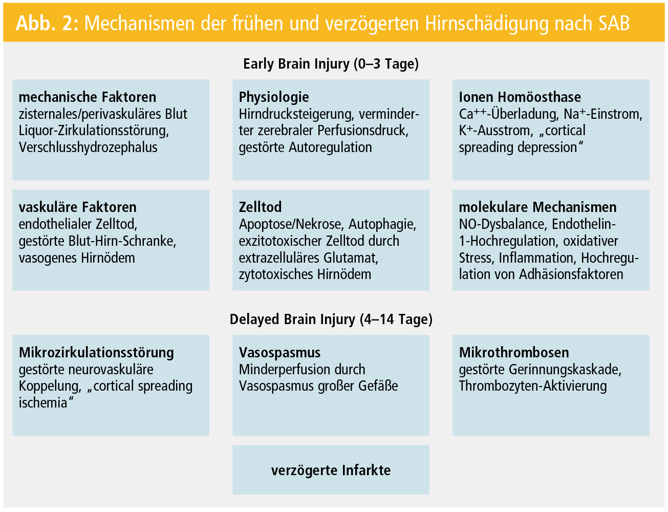 Translationale neurointensivmedizinische Forschung ...