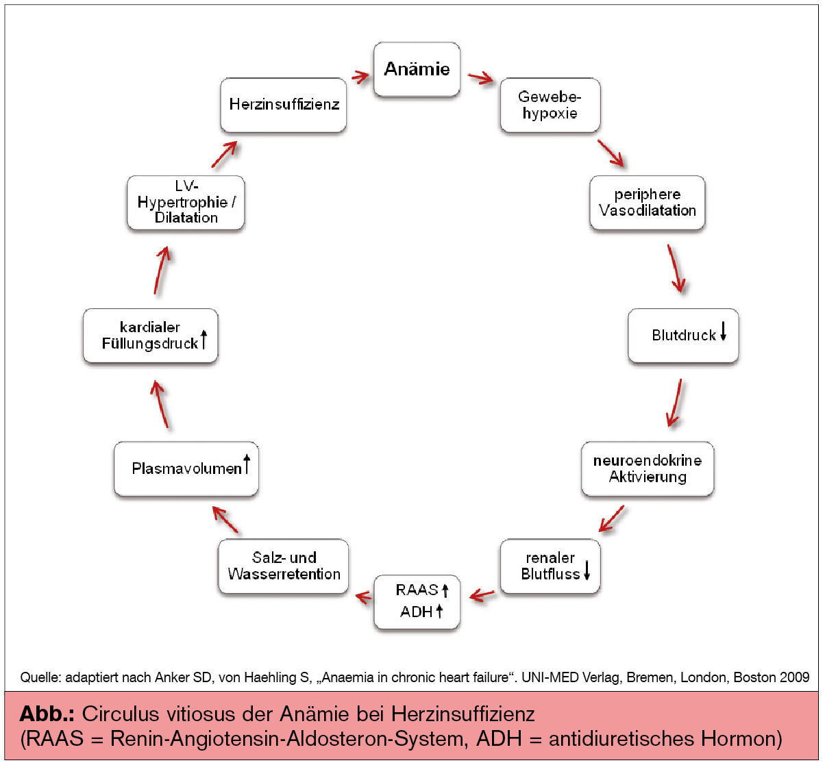 Circulus vitiosus – Anämie bei Herzinsuffizienz | Universum Innere ...